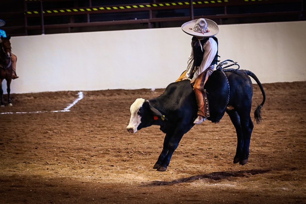 Al frente los Charros de Huichapan en la eliminatoria del Nacional ...